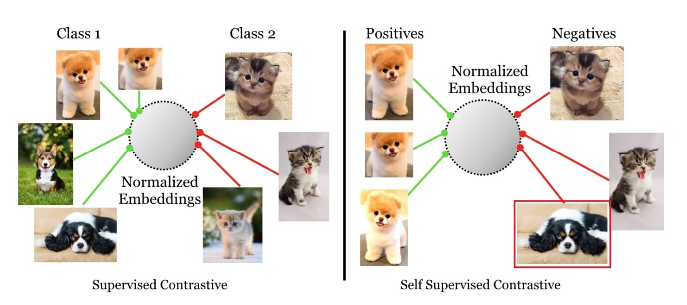 Out Of Distribution Detection Is It All A Cluster Game A Sneak Peak Into Ood Detection